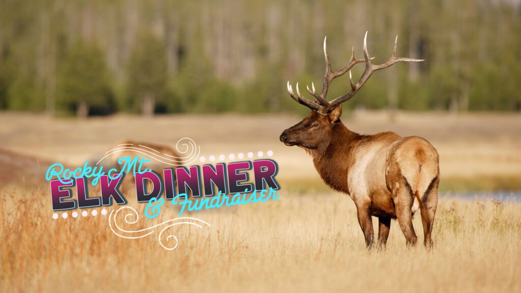 Rocky Mountain Elk Dinner & Fundraiser - Tri County Fair - Bishop, CA